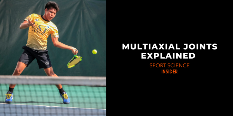 Multiaxial Joints Explained – Sport Science Insider